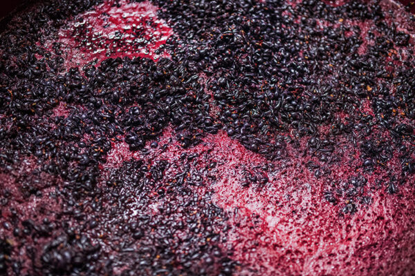 Home - WineMakerMag.com