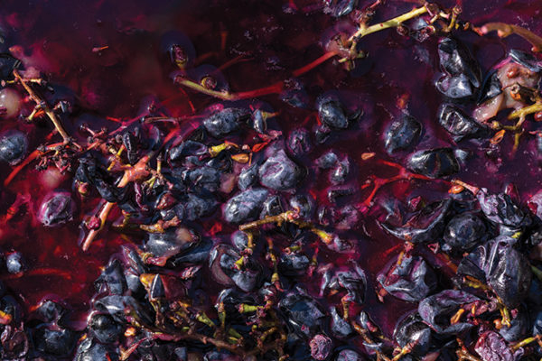 Maceration Considerations - WineMakerMag.com