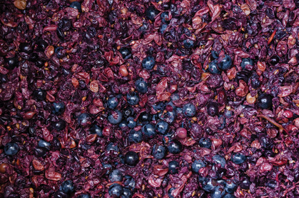 Maceration Considerations - WineMakerMag.com