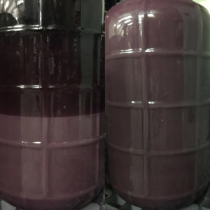 Sur Lie Aging - WineMakerMag.com