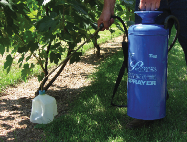 Small Scale Vineyard Spraying - WineMakerMag.com
